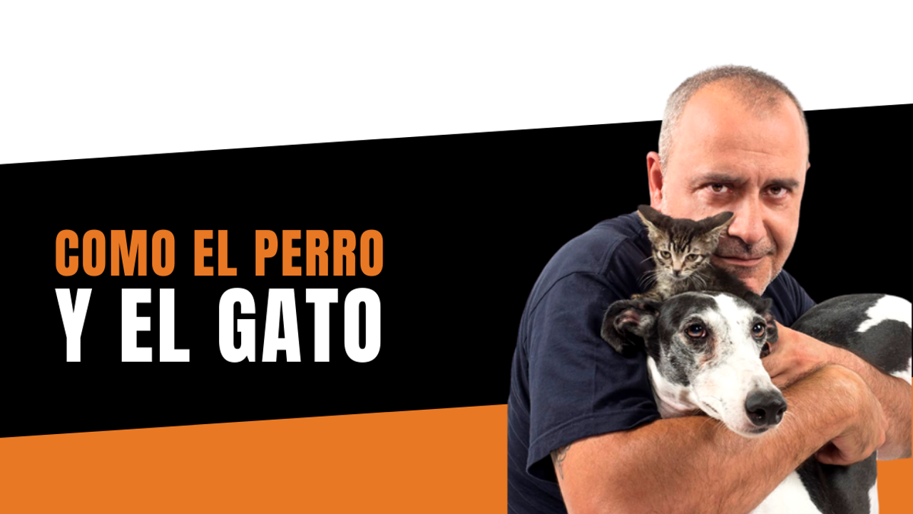 Como el perro y el gato 19/05/2024 | Melodia FM